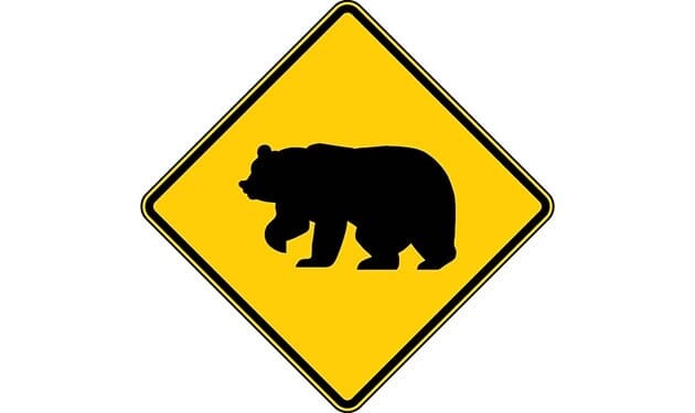 Bear Symbol Sign KSIGN-55 - - KirbyBuilt Products